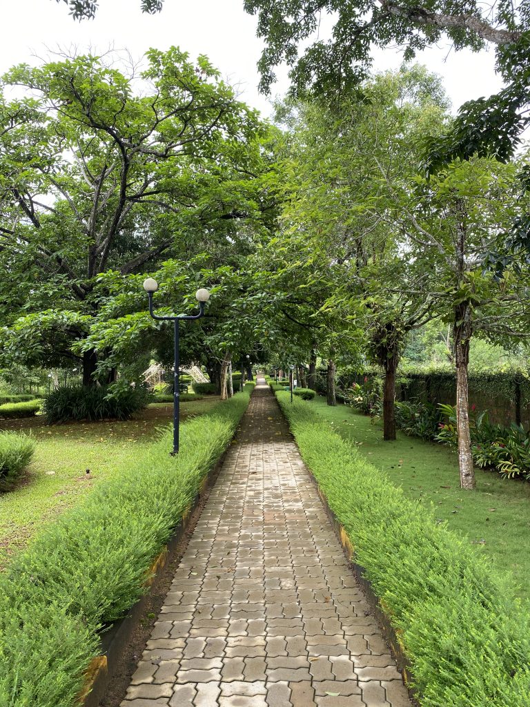 garden path - PixaHive