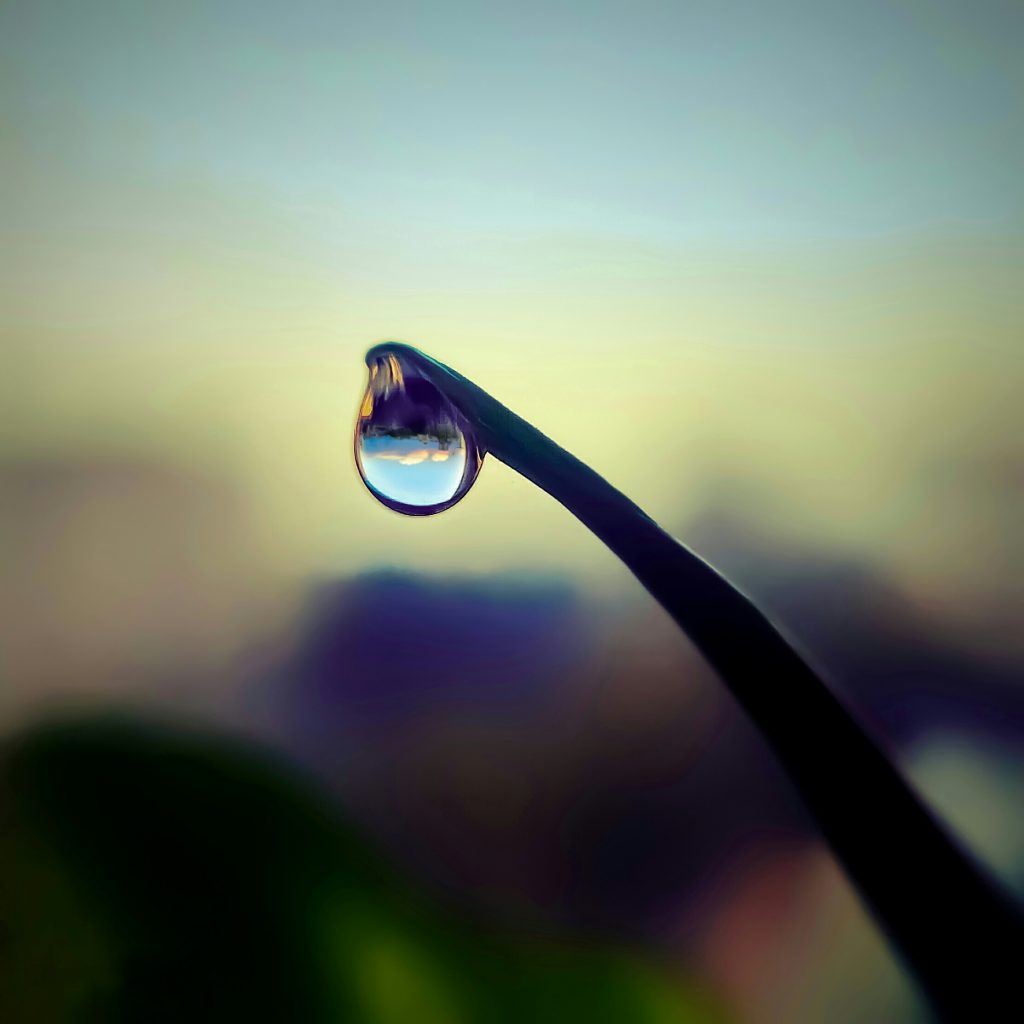 A world in a small drop - PixaHive