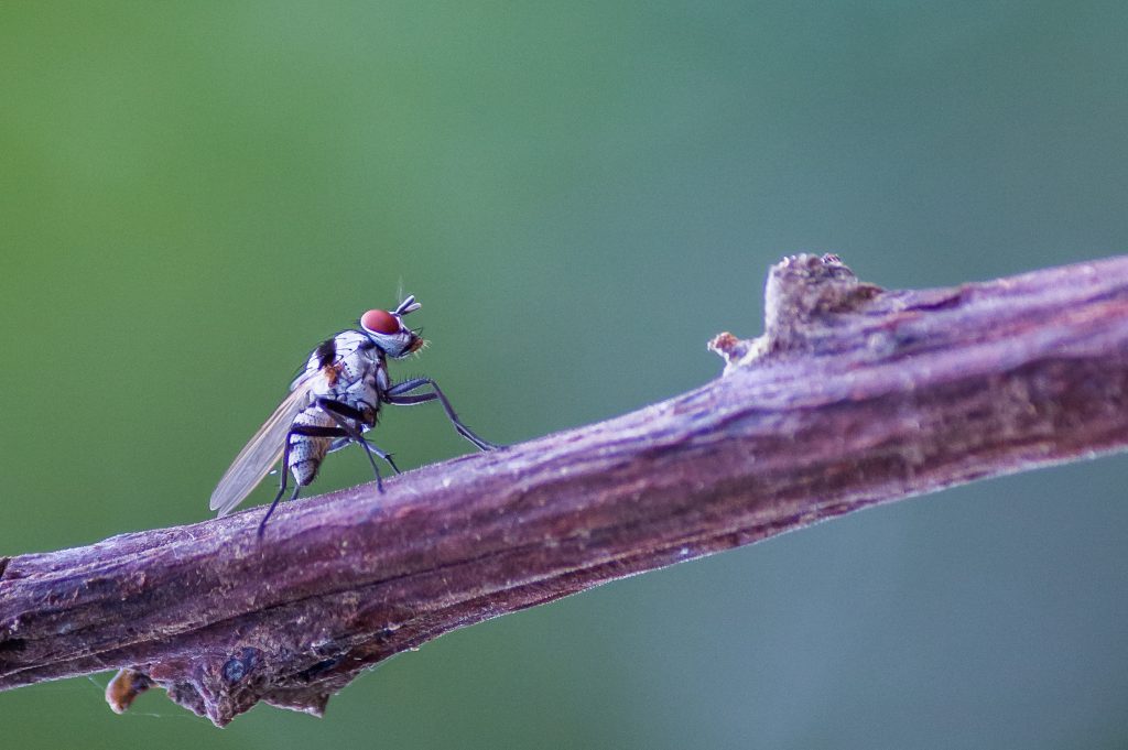 All Alone - PixaHive