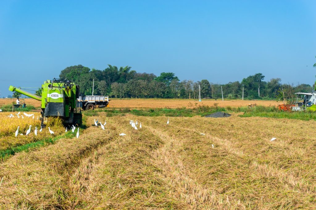 An harvester cutting crops - PixaHive