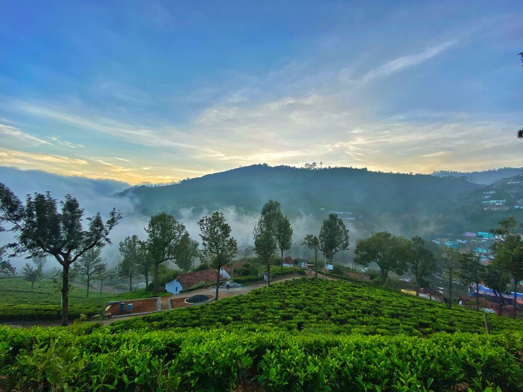 Beautiful Ooty - PixaHive