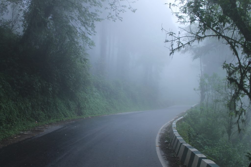 Beautiful dreamy road - PixaHive