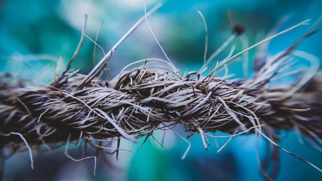 A grass rope - PixaHive