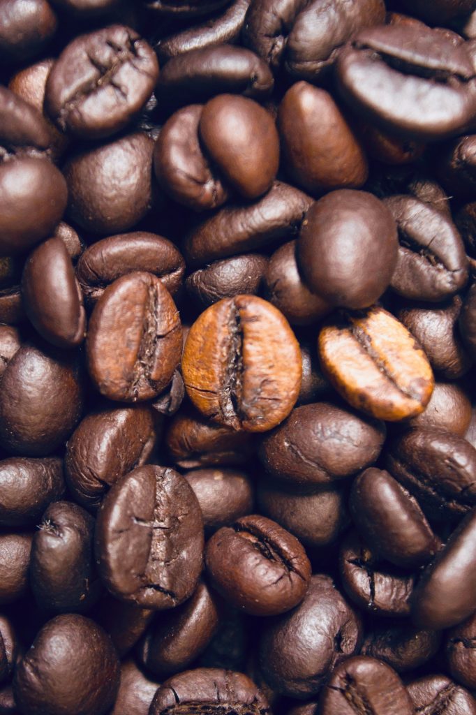 Coffee Seeds - PixaHive