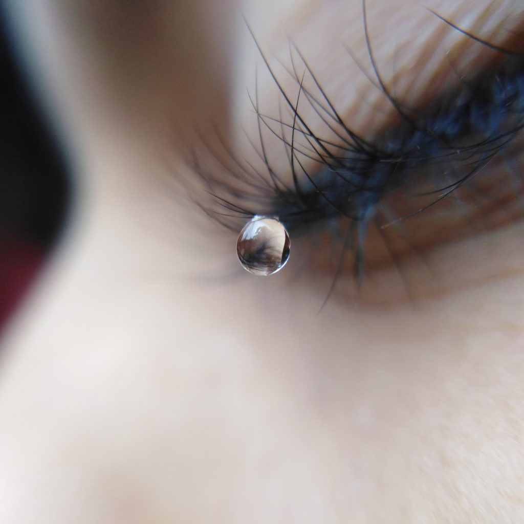 Drop on eye - Free Image by Kundan kumar on PixaHive.com