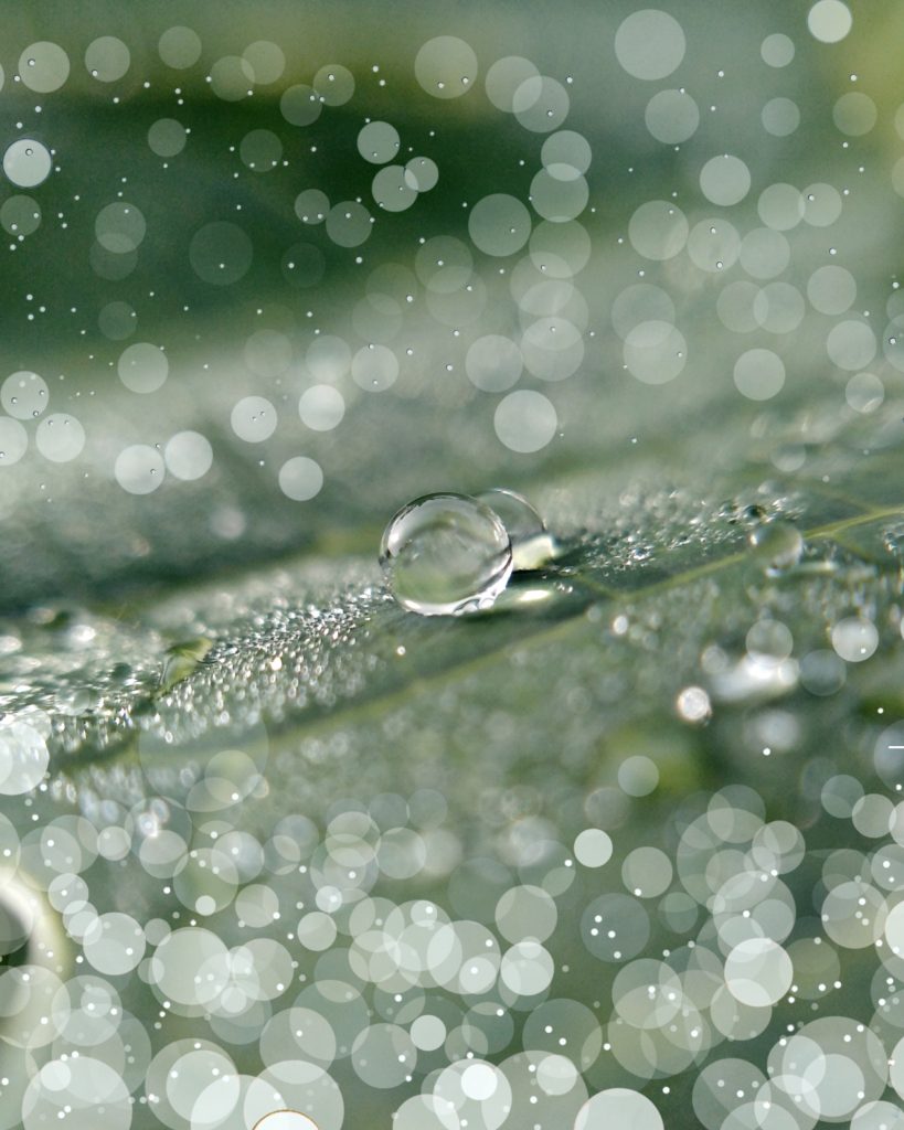 Drops and bokeh - PixaHive
