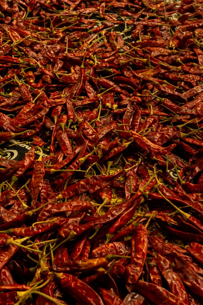Dry red chillies - PixaHive