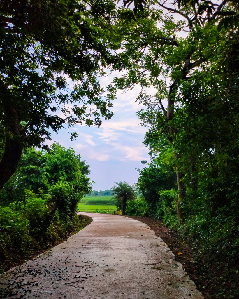 Empty village path covered with green trees - PixaHive