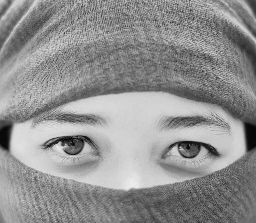 Eyes in Focus - PixaHive