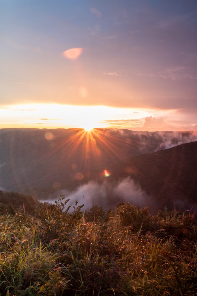 Flares of the Sun - PixaHive