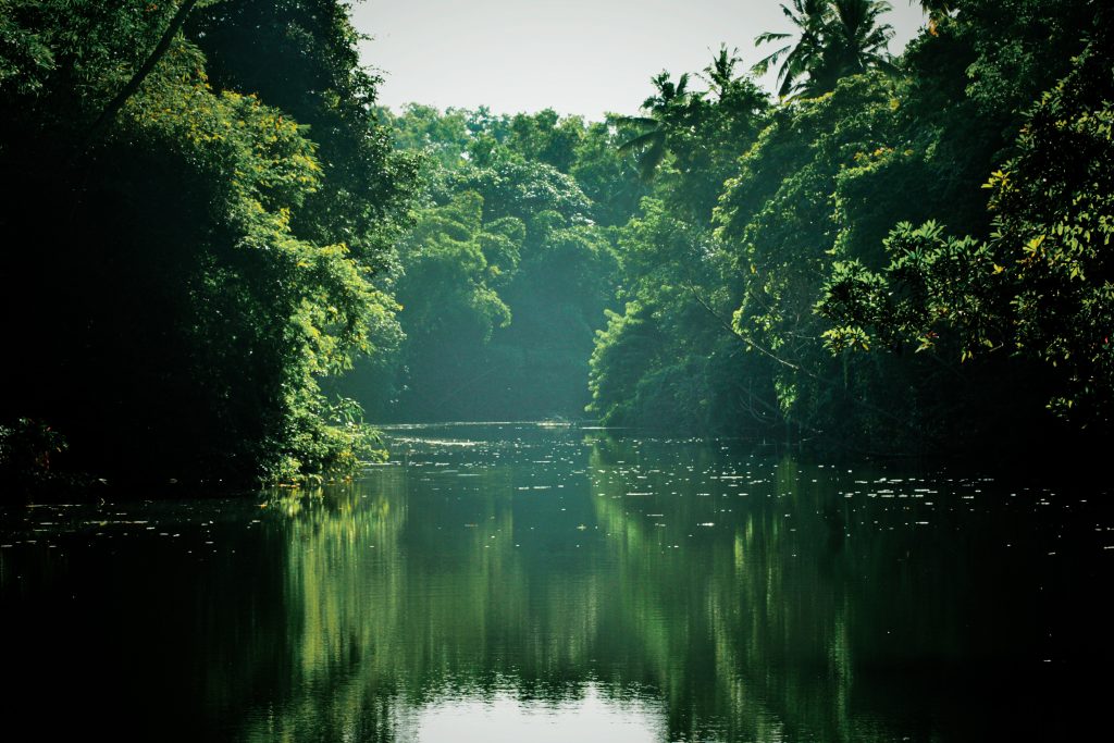 Fresh Water River - PixaHive