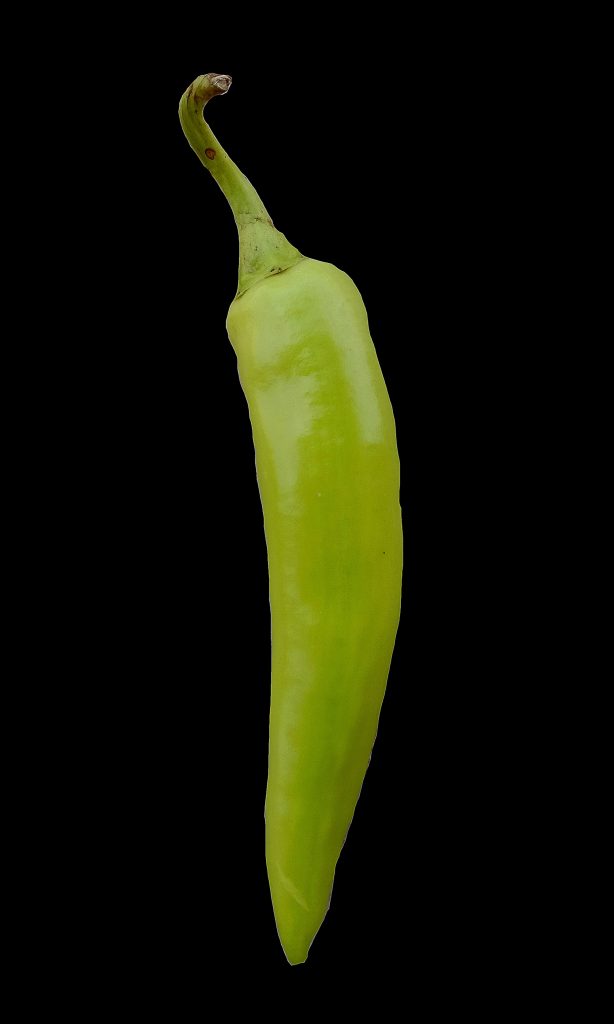 Green chilli - PixaHive