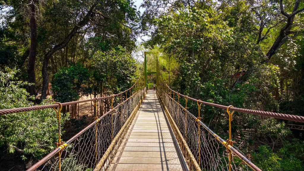 Hanging bridge - PixaHive