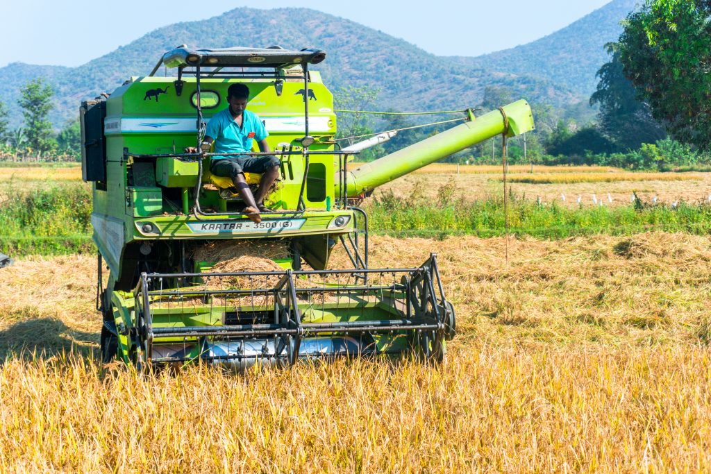Harvesting going on in the paddy field - PixaHive