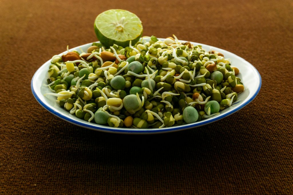 Healthy sprouts on a plate - PixaHive