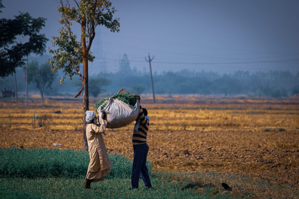 Helping Others - PixaHive