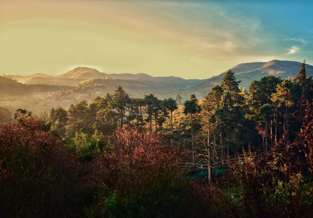 Hill top view - PixaHive