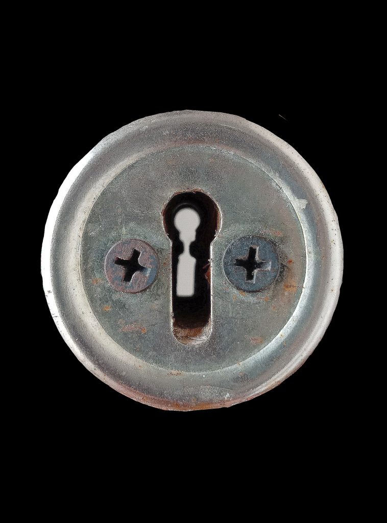 Kelly socket - PixaHive