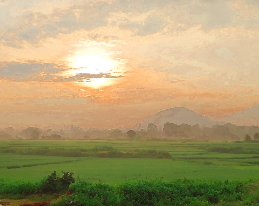 Morning view - PixaHive