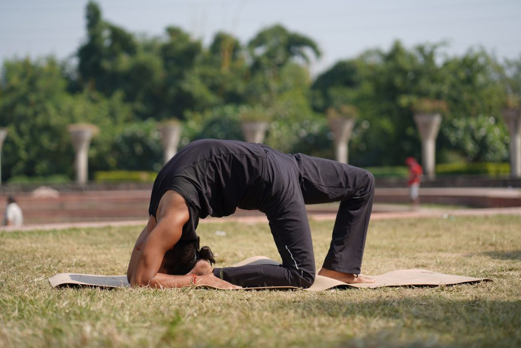 Pigeon Pose Variation (Kapotasana) - PixaHive