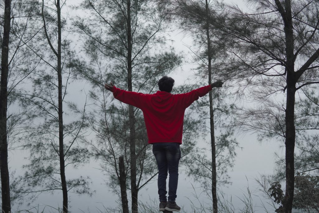 Red hoody guy in forest - PixaHive