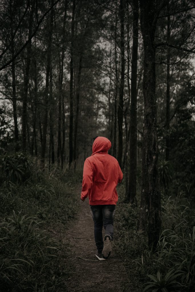 Red hoody guy running in to forest - PixaHive