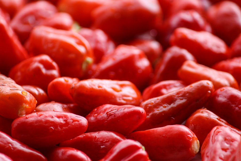 Red hot chilli - PixaHive