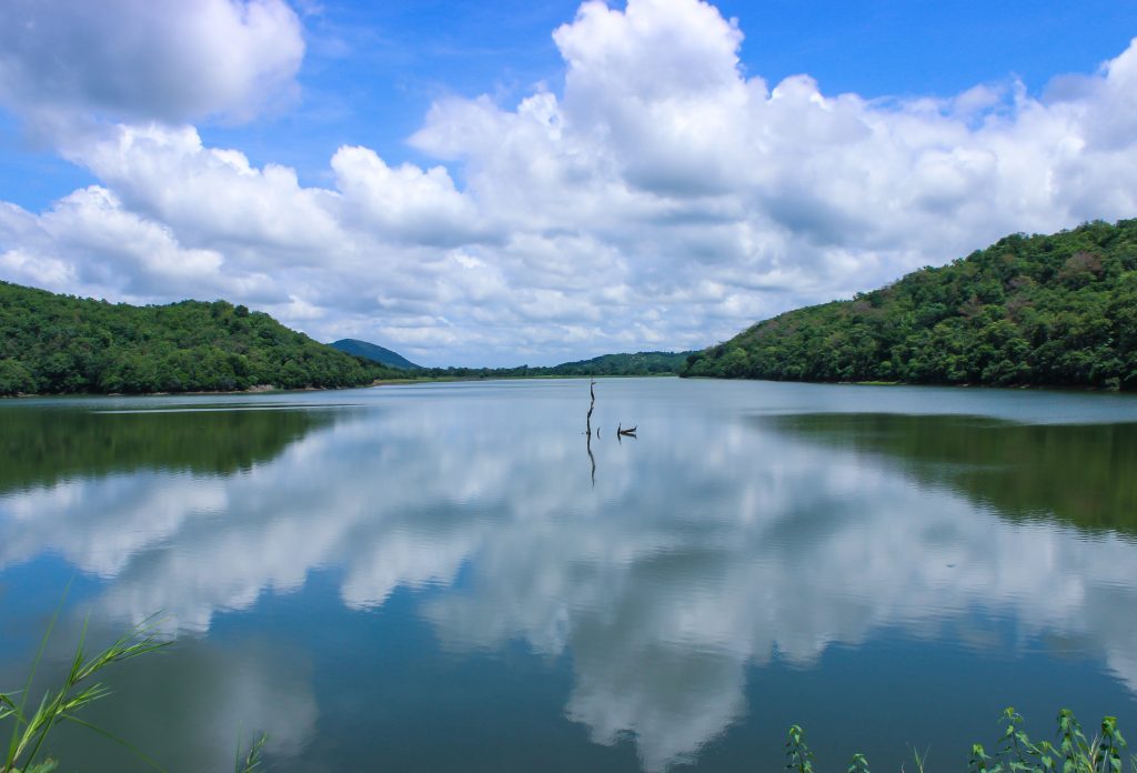 Reflection - PixaHive