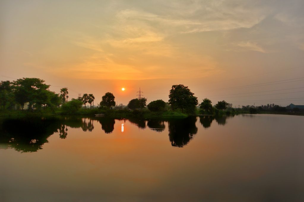 Reflection of a sunset in a pond - PixaHive