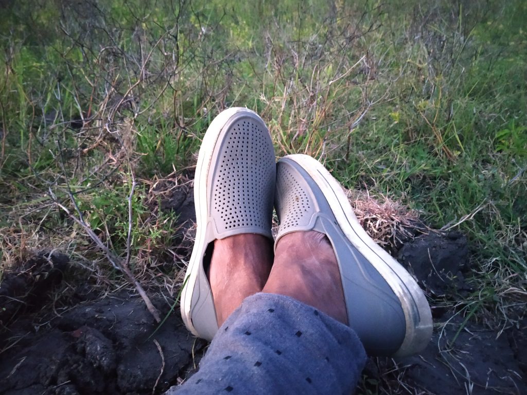 Resting legs in nature - PixaHive