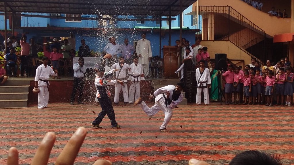 School Martial Art competition - PixaHive