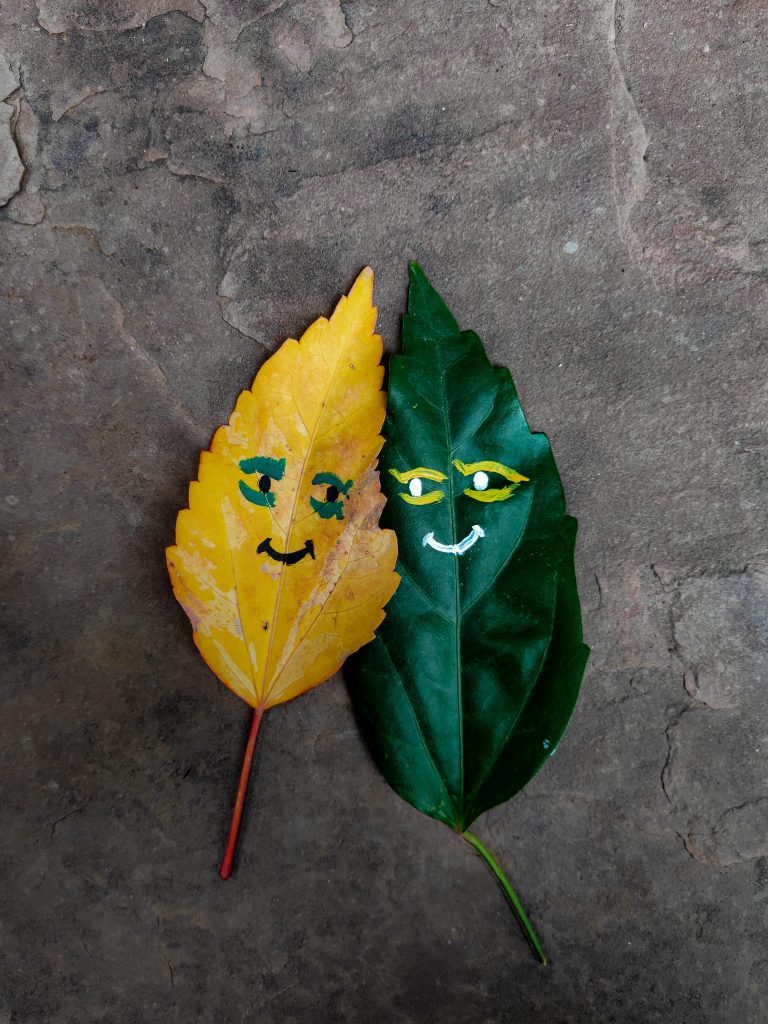 Smiling leaf couple - PixaHive