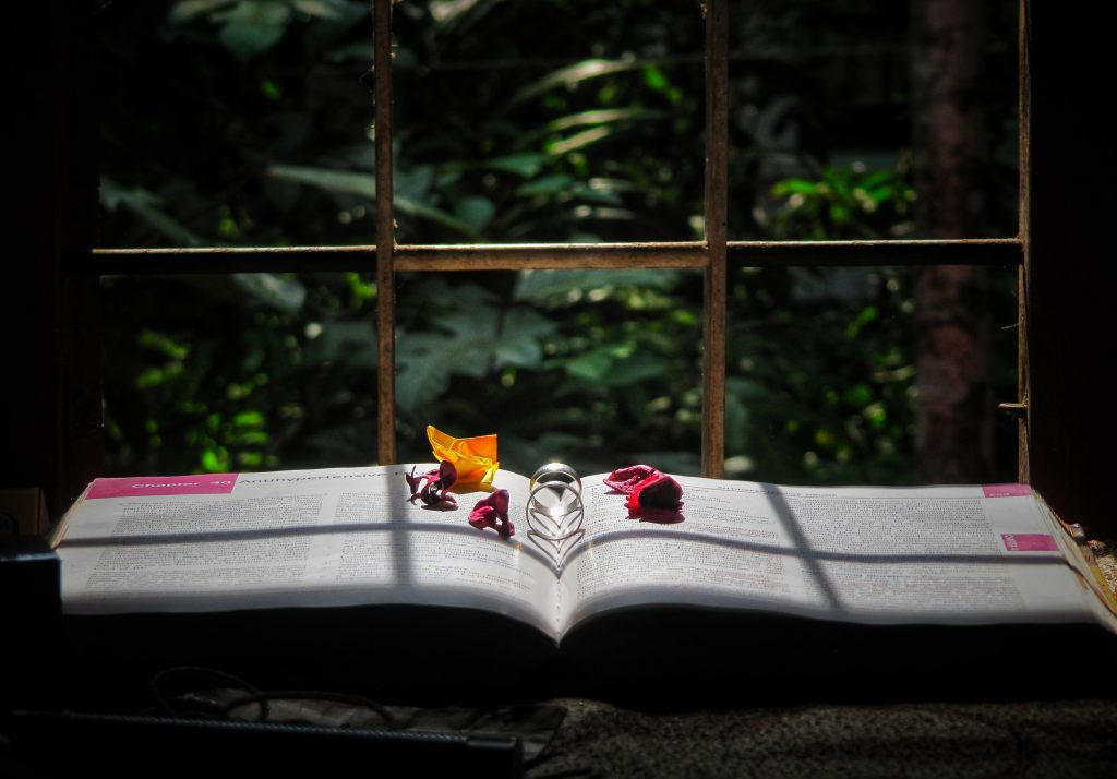 Some things on a book - PixaHive