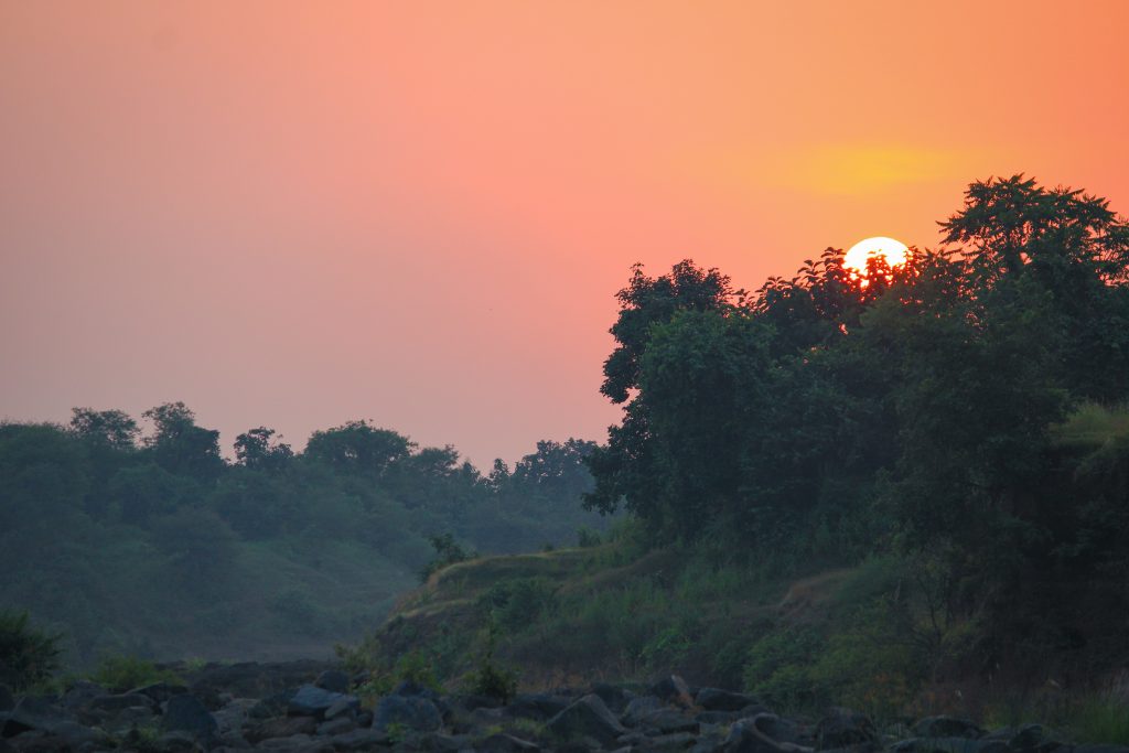 Sun behind trees - PixaHive