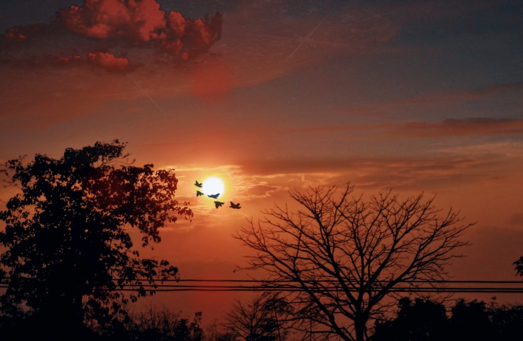 Sun going down - PixaHive