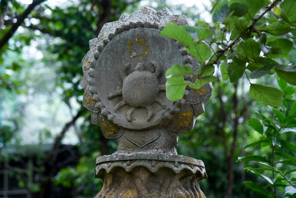 Tortoise carving - PixaHive