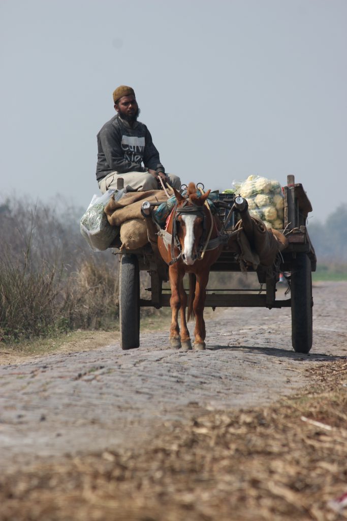 A man carrying load on horse cart - PixaHive