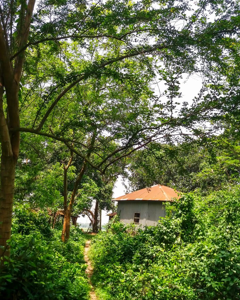 A small house covered with green trees - PixaHive