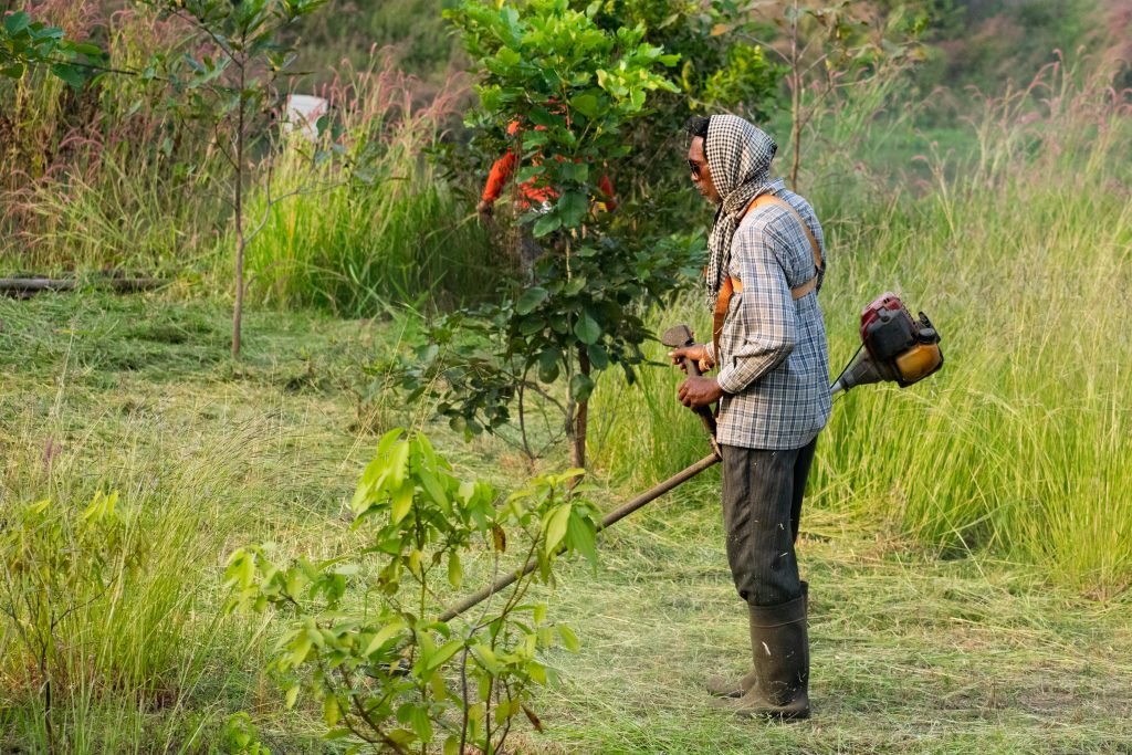 A worker cutting grass with machine - PixaHive