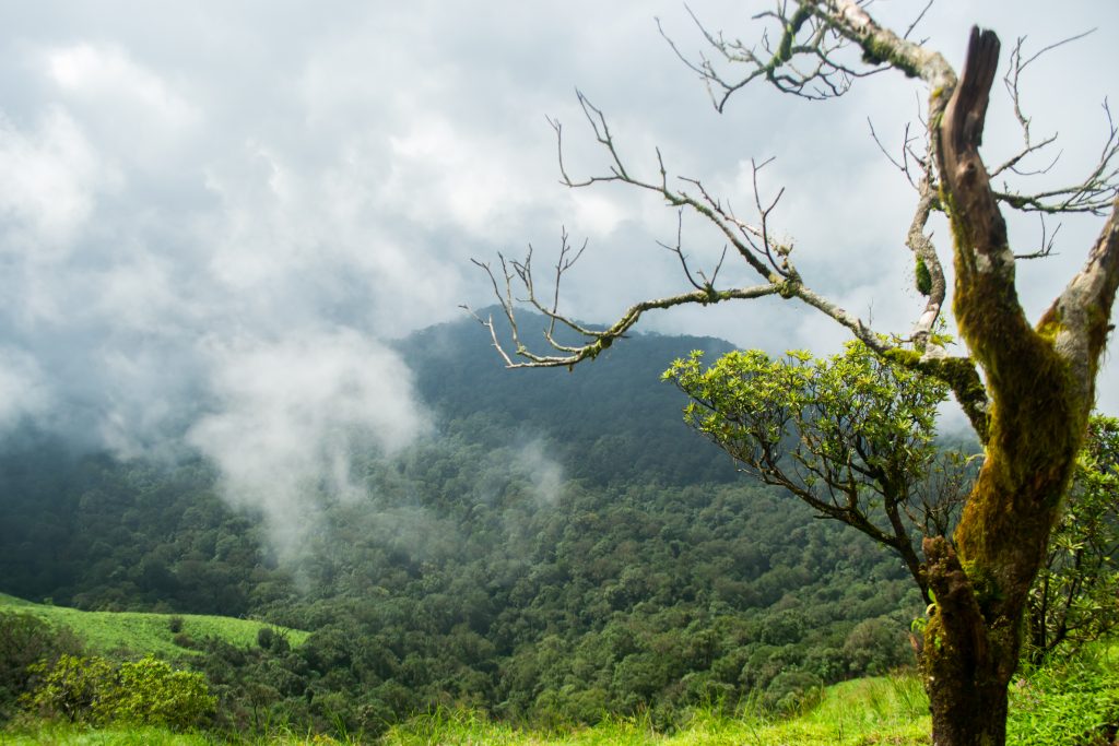 Amazing view - PixaHive