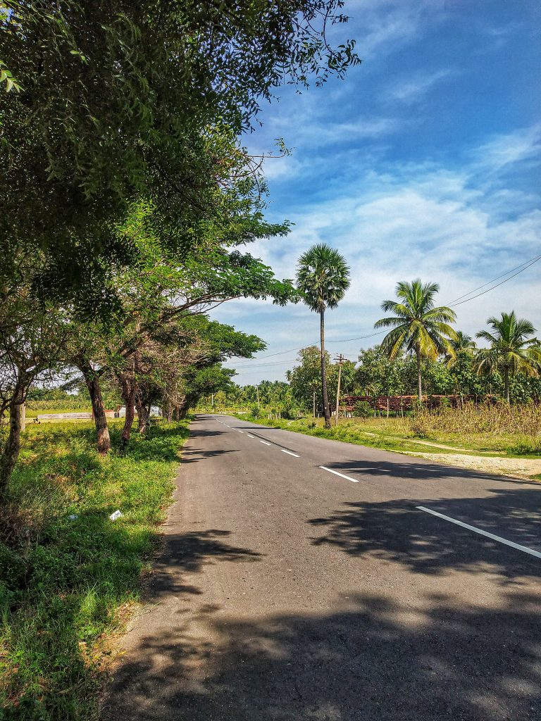 Beautiful Country Road - PixaHive