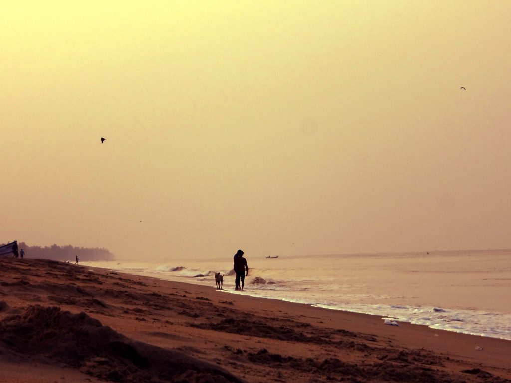 Morning on a beach - PixaHive