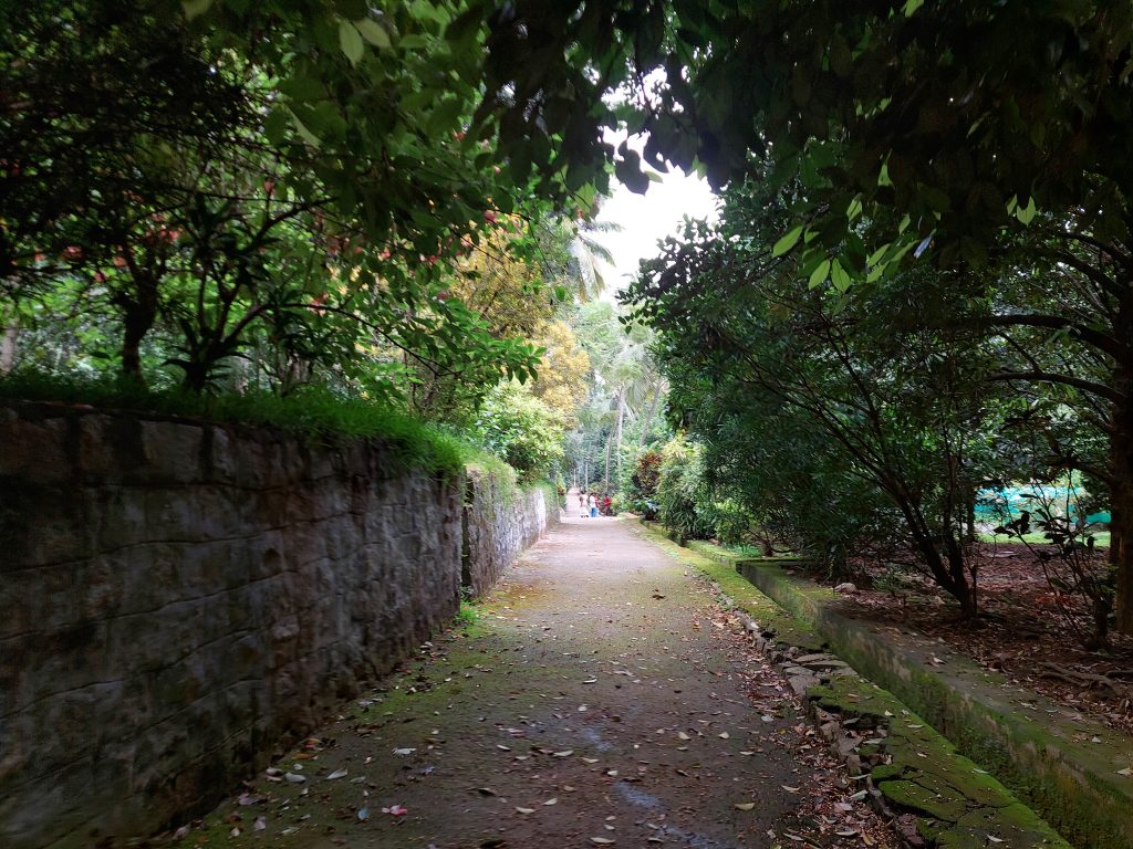 Beautiful pathway covered with trees in a garden - PixaHive