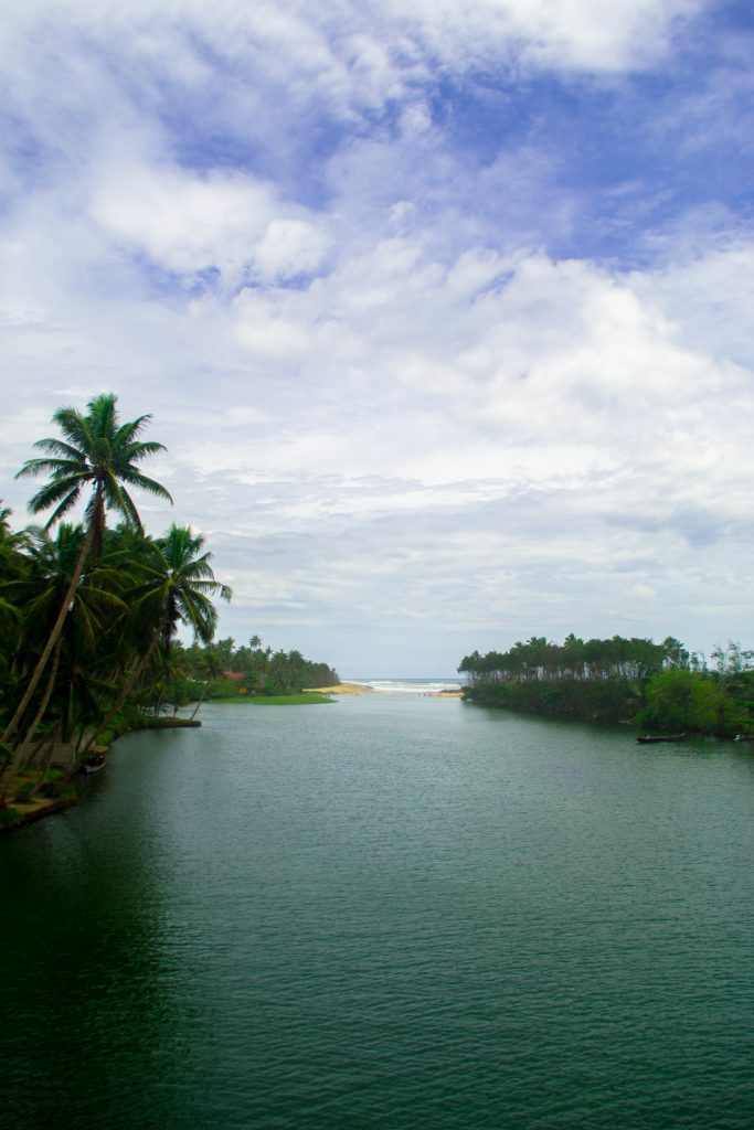 Beauty of Tropical Climate - PixaHive