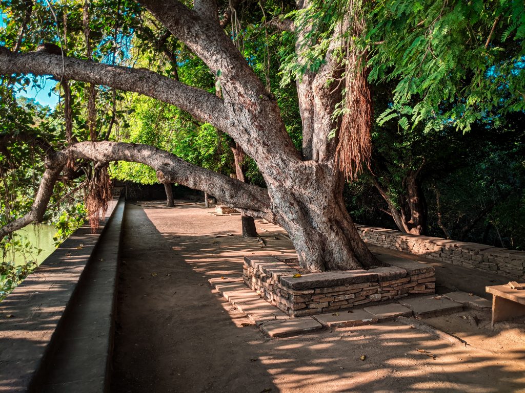 Chavda Rakhal, Bhuj - PixaHive