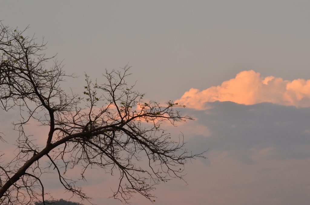 Cloud scape - PixaHive