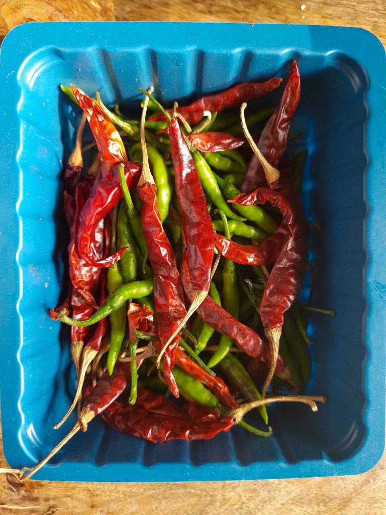 Colorful chillies in blue colored box - PixaHive