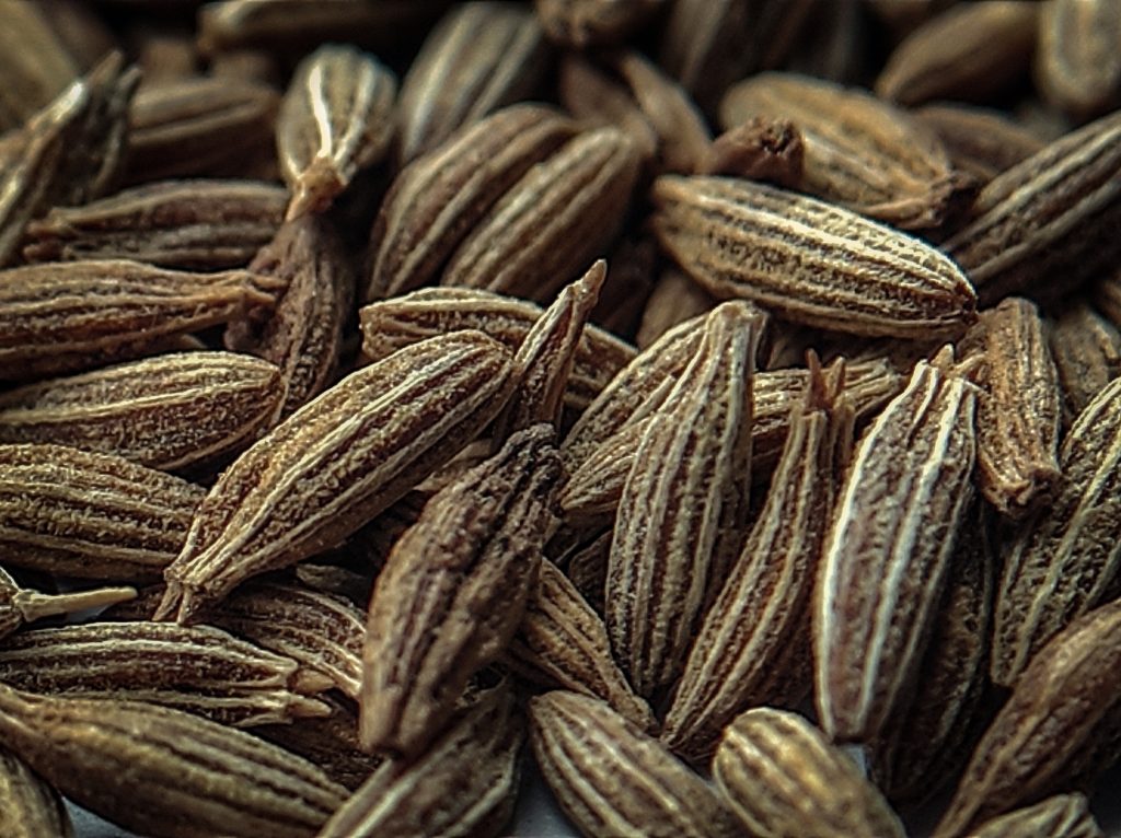 Cumin seeds, macro photography - PixaHive