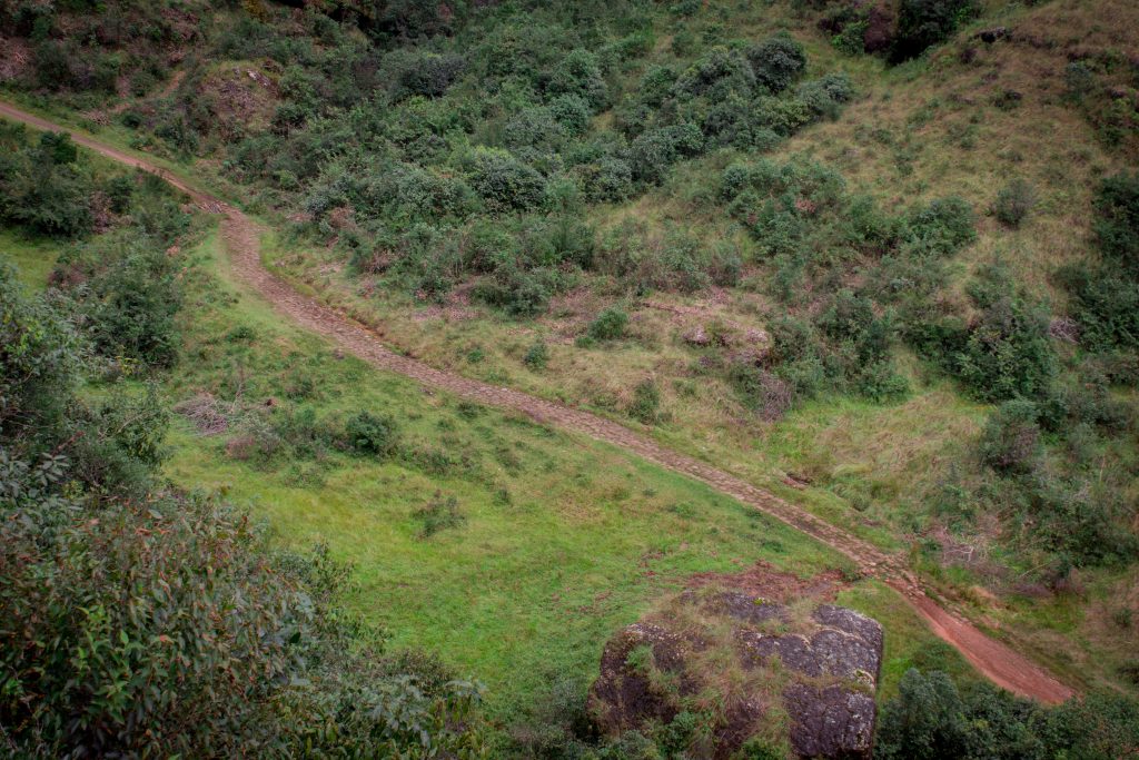 Curve pathway - PixaHive