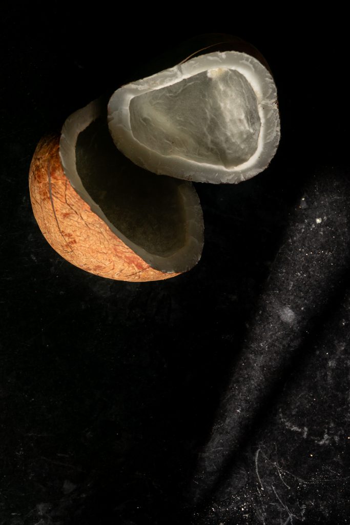 Dry coconut with artistic lighting - PixaHive